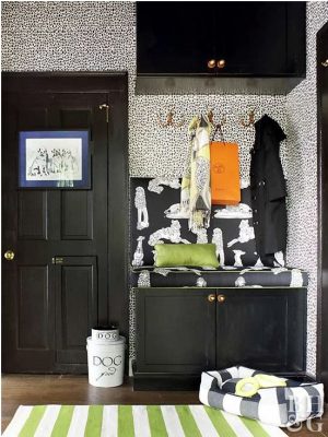 Interior design with pets in mind Designbx Designbx