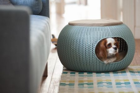 Interior design with pets in mind Designbx Designbx